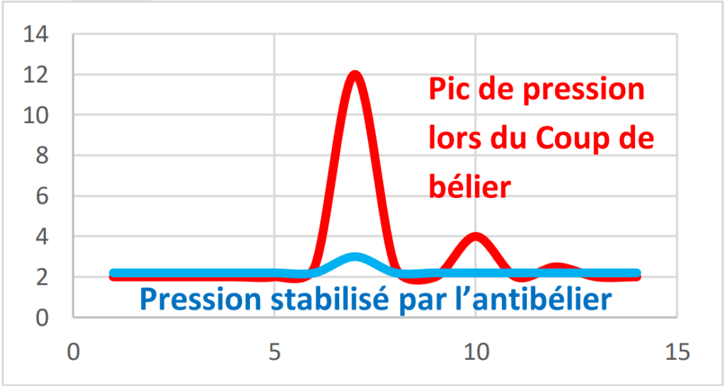 Anti-bélier mâle ou femelle - FICHE TECHNIQUE - Grandsire